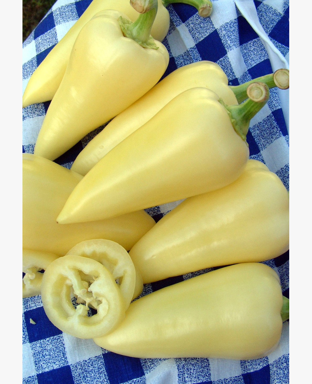 Étkezési paprika Totál