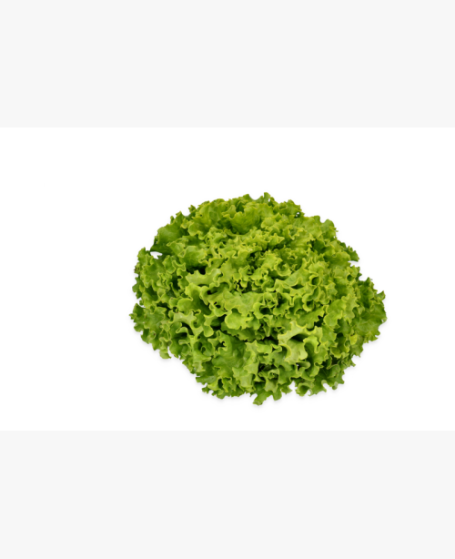 Levélzöldségek - profi fajták